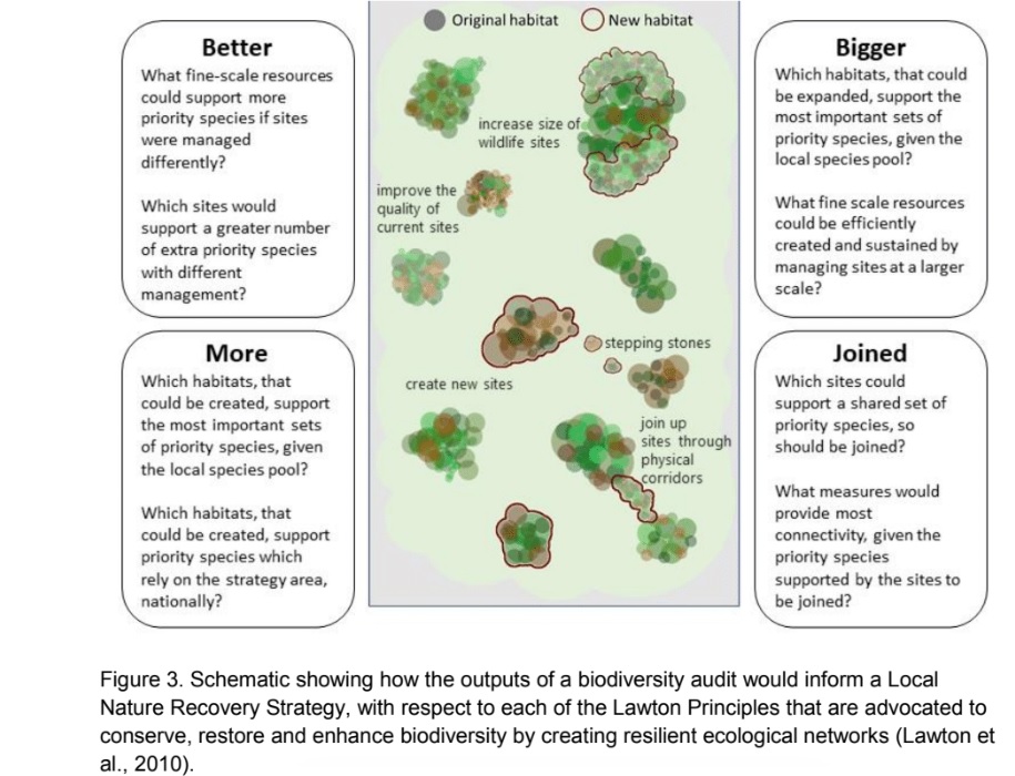 Un audit della biodiversità per tutelare sempre più specie