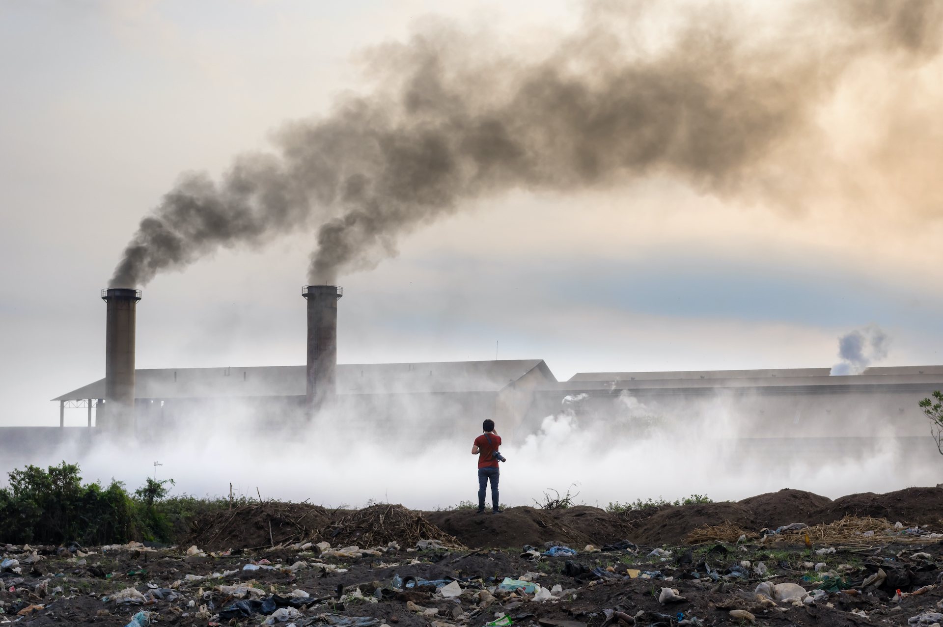 Le soluzioni basate sulla natura contro l’inquinamento atmosferico